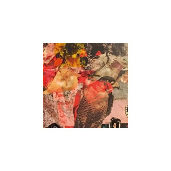 【発売日：2021年11月19日】種別:CD イージーリスニングヒーリング/ニューエイジ ※こちらの商品はインディーズ盤にて流通量が少なく、手配できない場合がございます 発売日:2021/11/19 販売元:インパートメント 登録日:202...