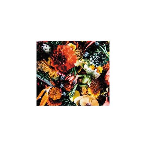 【発売日：2019年03月06日】種別:CD ジャズ・フュージョン国内ジャズ 発売日:2019/03/06 販売元:FABTONE 登録日:2019/01/10 SALVALAI サルバライ バラエティ 内容:SALVALAI／Normal...