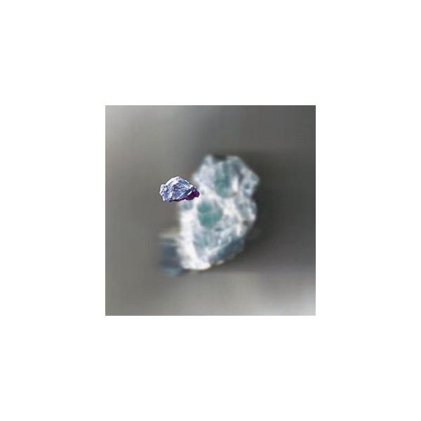 【発売日：2021年07月16日】種別:CD 邦楽クラブ/テクノ ※こちらの商品はインディーズ盤にて流通量が少なく、手配できない場合がございます 発売日:2021/07/16 販売元:インパートメント 登録日:2021/06/11 TENT...