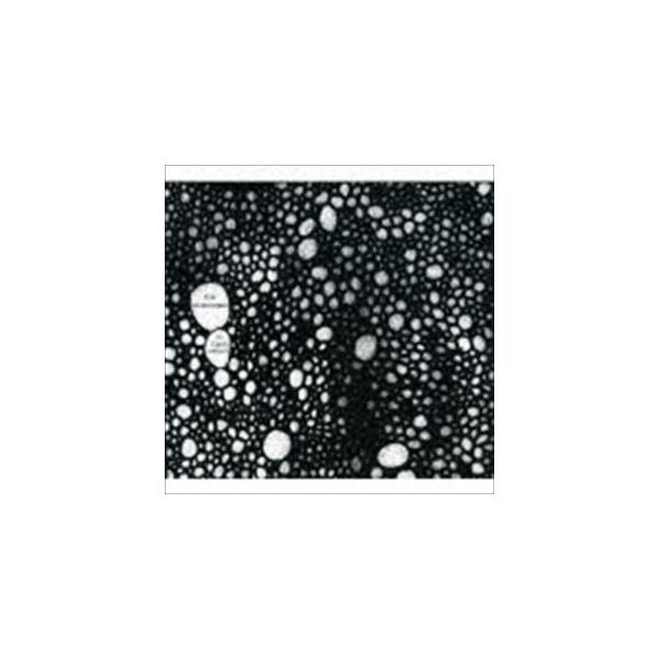 【発売日：2017年07月12日】種別:CD 洋楽ロック ※こちらの商品はインディーズ盤にて流通量が少なく、手配できない場合がございます 発売日:2017/07/12 販売元:ウルトラ・ヴァイヴ 登録日:2017/06/05 ザ・テレスコー...