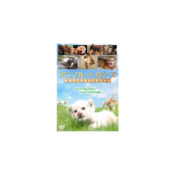 【発売日：2018年05月02日】種別:DVD 洋画ドキュメンタリー 発売日:2018/05/02 販売元:トランスワールドアソシエイツ 登録日:2018/02/07 ステファン・ジャック 解説:フランス国内の動物園に1年以上に渡り密着し、...