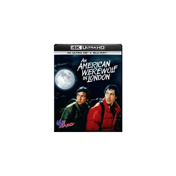 【発売日：2026年12月23日】種別:Ultra HD Blu-ray 洋画ホラー 発売日:2026/12/23 販売元:NBCユニバーサル・エンターテイメントジャパン 登録日:2026/10/09 デヴィッド・ノートン ジョン・ランディ...