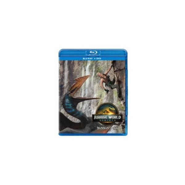 【発売日：2025年12月03日】種別:Blu-ray 洋画パニック 発売日:2025/12/03 販売元:NBCユニバーサル・エンターテイメントジャパン 登録日:2025/10/14 スカーレット・ヨハンソン ギャレス・エドワーズ ジュラ...