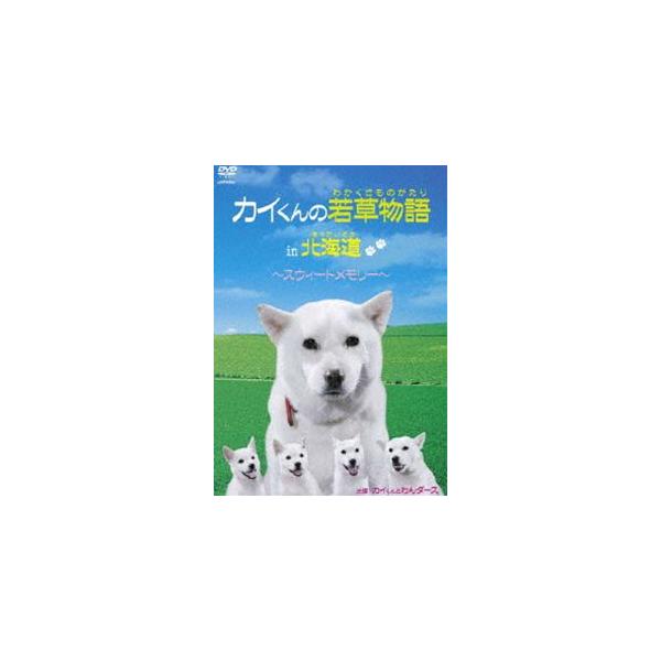 【発売日：2009年01月21日】種別:DVD 趣味・教養動物 発売日:2009/01/21 販売元:ビクターエンタテインメント 登録日:2008/12/05 カイくんとわんダース 解説:ソフトバンクモバイルのCMで上戸彩のお父さんを演じ、...
