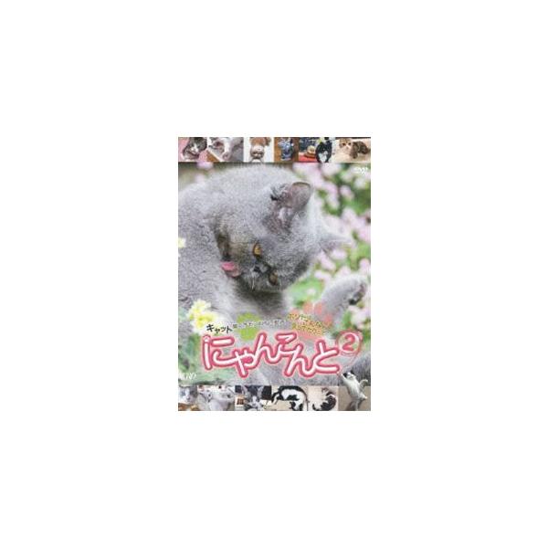 【発売日：2012年02月22日】種別:DVD 趣味・教養動物 発売日:2012/02/22 販売元:バップ 登録日:2011/12/12 6202304200313 特典:関由香ミニブックレット／もふもふケース（以上2点、初回生産分のみ特...