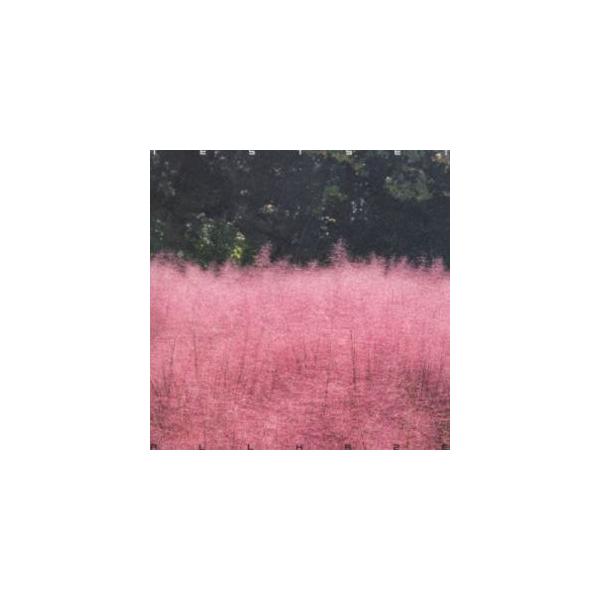 【発売日：2025年10月22日】種別:CD 邦楽ロック/ソウル 発売日:2025/10/22 販売元:ソニー・ミュージックソリューションズ 登録日:2025/08/29 TESTSET テストセット オール ヘイズ アルバム 内容:DRY...