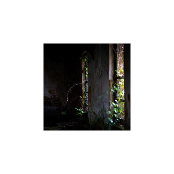 【発売日：2015年09月09日】種別:CD イージーリスニングヒーリング/ニューエイジ ※こちらの商品はインディーズ盤にて流通量が少なく、手配できない場合がございます 発売日:2015/09/09 販売元:アート・ユニオン 登録日:201...