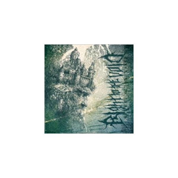 【発売日：2014年12月24日】種別:CD 洋楽ハードロック/ヘヴィメタル 発売日:2014/12/24 販売元:スペースシャワーネットワーク 登録日:2014/09/26 ライト・トゥ・ザ・ヴォイド ライトトゥザボイド キングダム オブ...