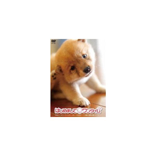 【発売日：2009年11月25日】種別:DVD 趣味・教養動物 発売日:2009/11/25 販売元:ユニバーサル ミュージック 登録日:2009/10/05 解説:BS朝日で毎週日曜放送のテレビ番組「愛のワンニャンタイム」から人気コーナー...