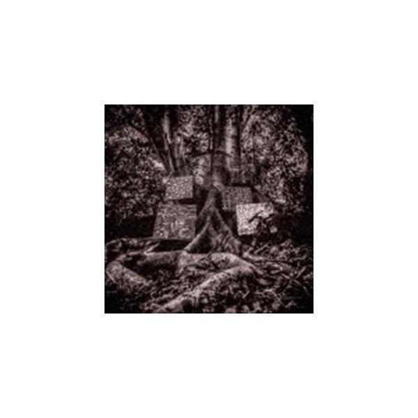【発売日：2017年09月22日】種別:CD ジャズ・フュージョン海外ジャズ 発売日:2017/09/22 販売元:BEATINK 登録日:2017/08/07 カマシ・ワシントン（ts） ワシントン カマシ ハーモニー オブ ディファレン...