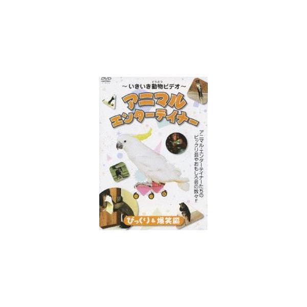 【発売日：2008年11月05日】種別:DVD 趣味・教養動物 発売日:2008/11/05 販売元:徳間ジャパンコミュニケーションズ 登録日:2008/09/01 解説:芸達者な動物たちの姿を納めた映像作品。今作は、笑えて感心させてくれる...