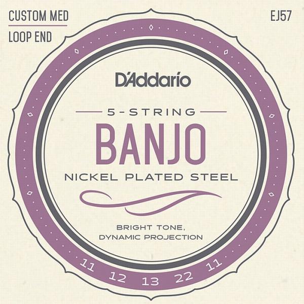 幅広いゲージや合金の種類から選択可能なD'Addarioのバンジョー弦は、世界中のトッププロに愛用されています。ループエンド仕様。