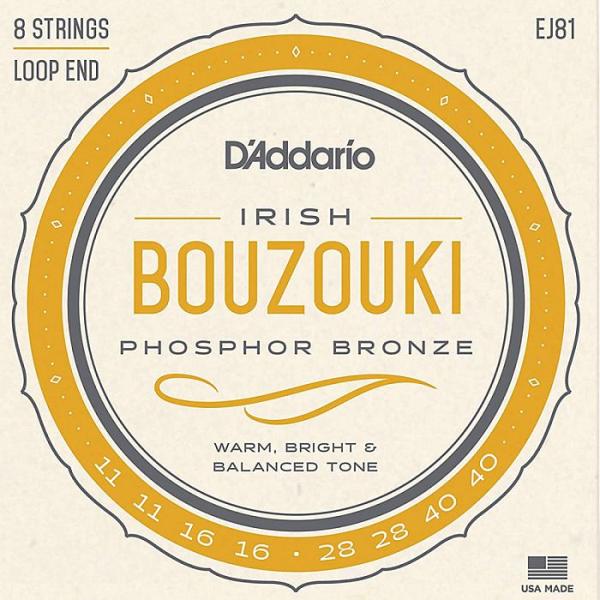 アイリッシュブズーキ弦です。