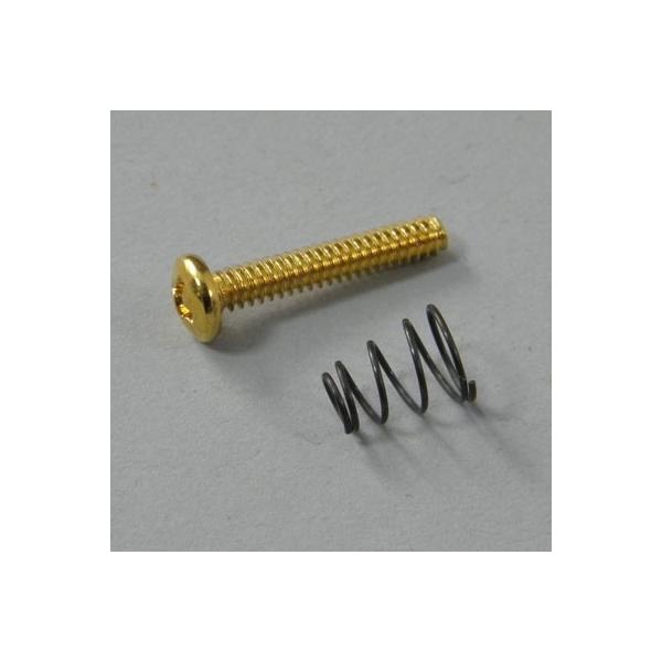 シングルコイル用の取り付けビスとスプリング。6個入り。