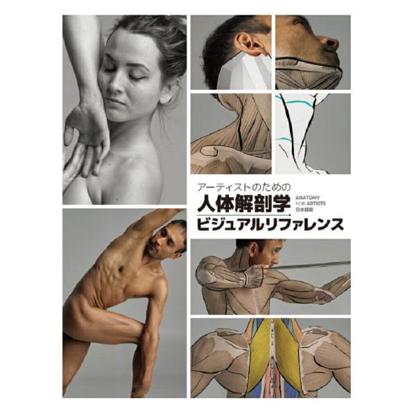 アーティストのための人体解剖学ビジュアルリファレンス 発行・発売：株式会社 ボーンデジタルISBN：978-4-86246-516-0総ページ数：304 ページサイズ：A4変形判、4色発売日：2021年10月下旬