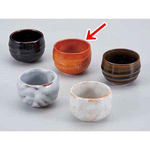 当店と同じ地元の卸商社から直接仕入れる和の器。料理屋さんや旅館、居酒屋などで使用されている本格的なプロ用食器を、ご家庭に格安価格でご提供いたします。季節の器、彩りの器で、食卓をもっとすてきに。〜酒器〜シンプルでモダンなものから、純和風の伝統...