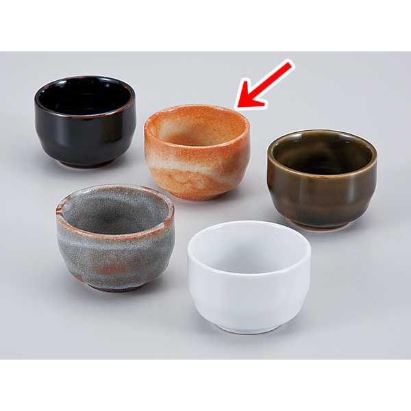 当店と同じ地元の卸商社から直接仕入れる和の器。料理屋さんや旅館、居酒屋などで使用されている本格的なプロ用食器を、ご家庭に格安価格でご提供いたします。季節の器、彩りの器で、食卓をもっとすてきに。〜酒器〜シンプルでモダンなものから、純和風の伝統...