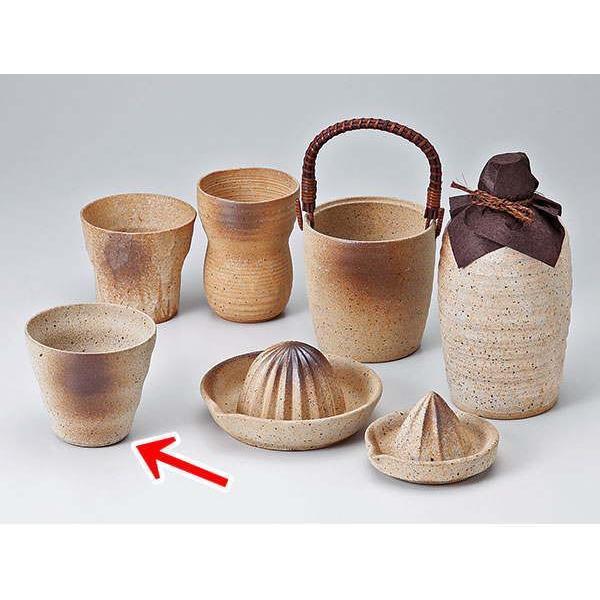 当店と同じ地元の卸商社から直接仕入れる和の器。料理屋さんや旅館、居酒屋などで使用されている本格的なプロ用食器を、ご家庭に格安価格でご提供いたします。季節の器、彩りの器で、食卓をもっとすてきに。〜酒器〜シンプルでモダンなものから、純和風の伝統...