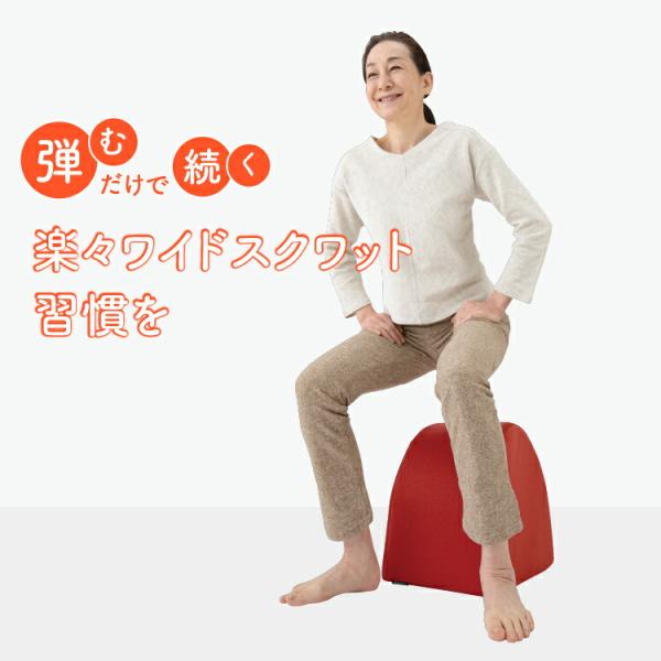 商品名 ワイドスクワットホッパーパリ式KANAMIメソッドをもとに、美の筋肉をエクササイズする多機能な運動クッション。つらいワイドスクワットを簡単に、楽しくサポートします。美の筋肉とされる、お尻・裏もも・内ももなどが楽しくエクササイズできま...