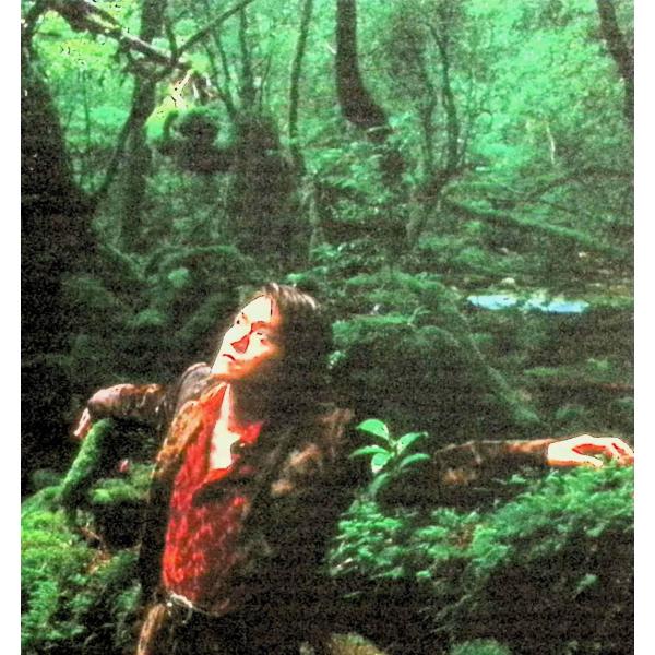 碧い宇宙(ほし)の旅人 TOSHIJAN/品番  4988017066300　BMGビクターAriola JapanCD,邦楽