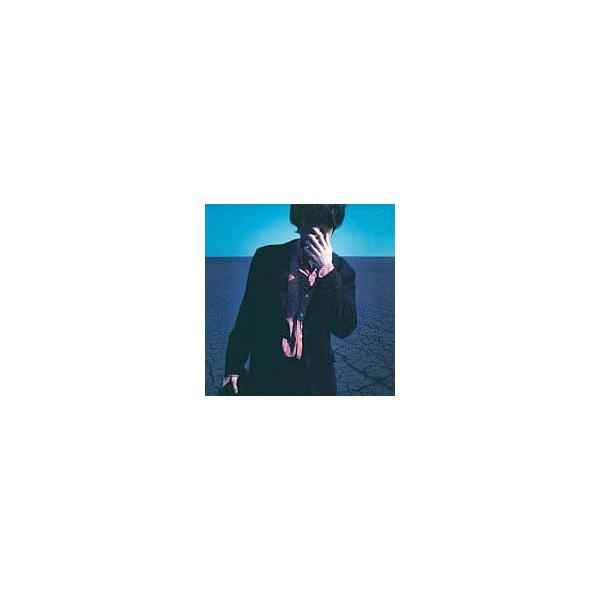 FAMILY スガシカオJAN/品番  4988031016039　キティキティ MmeCD,邦楽