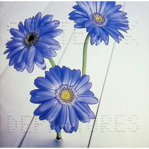 DEPARTURES Sister KJAN/品番  4943674009046　ダブリューイーエー・ジャパンWea JapanCD,邦楽