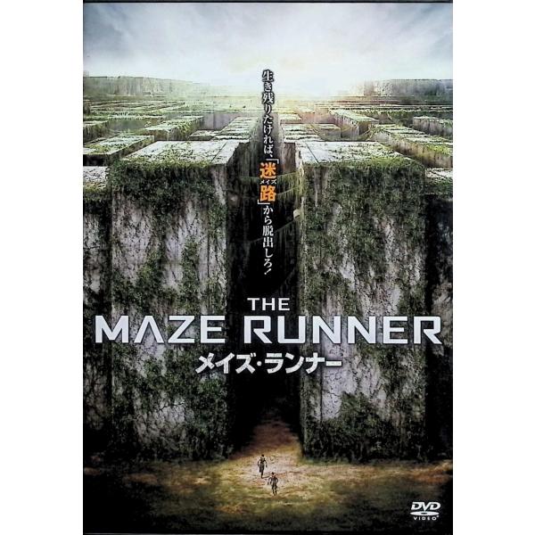 メイズ・ランナー [DVD] ディラン・オブライエン、カヤ・スコデラリオ、アムル・アミーン  監督名 ウェス・ボール音声 /  日本語・英語 字幕 /  日本語・英語JAN : 4988142119216DVD/ブルーレイ,外国映画,SF ...
