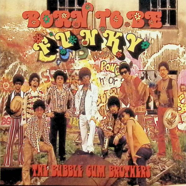 BORN TO BE FUNKY バブルガム・ブラザーズJAN/品番  4988010107628　ESCB-1076エピックレコードジャパンエピックソニーCD,邦楽
