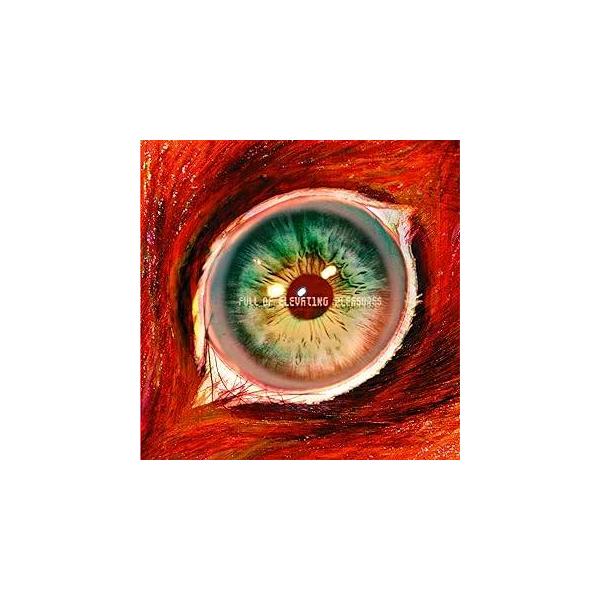 FULL OF ELEVATING PLEASURES BOOM BOOM SATELLITESJAN/品番  4988009025742　ソニー・ミュージックレコーズソニーミュージックエンタテインメントCD,邦楽