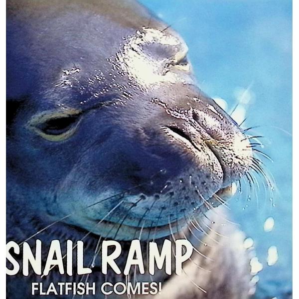 FLATFISH COMES! SNAIL RAMPJAN/品番  4948722002574　SCH001001SCHOOL BUS RECORDSCD,邦楽