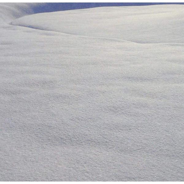 Landed Laika Came BackJAN/品番  4958137541018　SPACE SHOWER MUSICMuttnikCD,邦楽