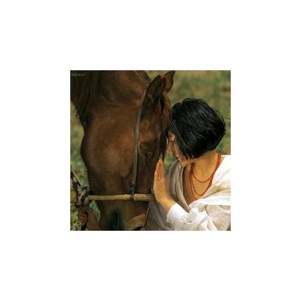 Sleeping Gypsy 山下久美子JAN/品番  4988006094611　EMIミュージック・ジャパンユニバーサル ミュージック (e)CD,邦楽