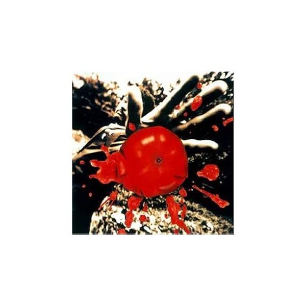 孤独の太陽 桑田佳祐JAN/品番  4988002299928　VICL-555ビクターエンタテインメントビクターエンタテインメントCD,邦楽