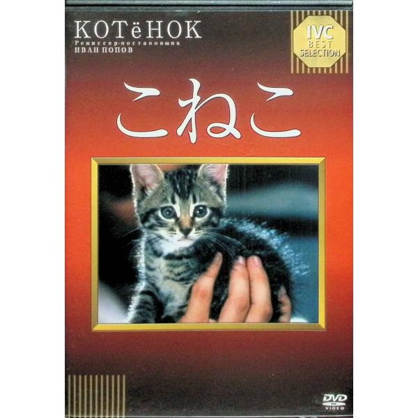 こねこ [DVD] アンドレイ・クズネツォフ  リュドミラ・アリニナ  アレクセイ・ヴォイチューク  監督  イワン・ポポフ音声 /  日本語・ロシア語 字幕 /  日本語JAN : 4933672236476DVD/ブルーレイ,外国映画,...