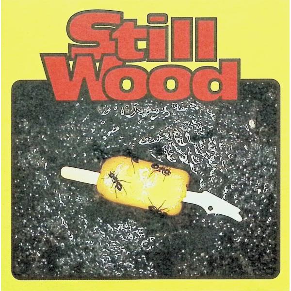 Still WOOD 野村義男JAN/品番  4948722004998　DAIKICD,邦楽