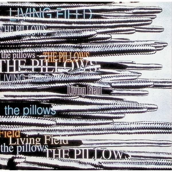 LIVING FIELD the pillowsJAN/品番  4988003169633　キングレコードキングレコードCD,邦楽