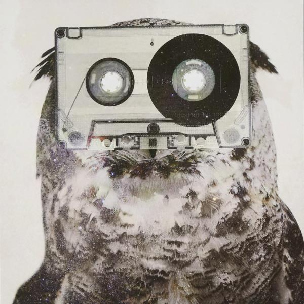 Land of Eardrum STUDIO 75JAN : 4525853751283インディーズ・メーカーBasqueCD、邦楽