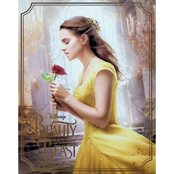 美女と野獣 MovieNEX(実写版) [ブルーレイ+DVD+デジタルコピー(クラウド対応)+MovieNEXワールド] [Blu-ray] エマ・ワトソン (出演), ダン・スティーヴンス (出演), ビル・コンドン (監督)音声 /  ...
