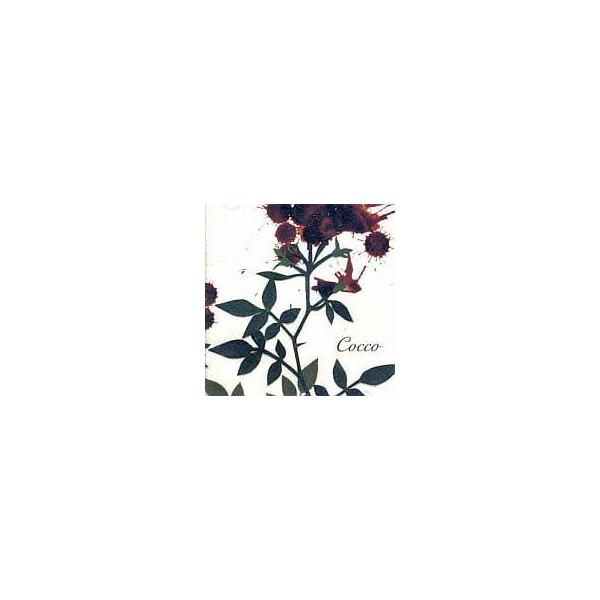 サングローズ CoccoJAN/品番  4988002415359　CD,邦楽