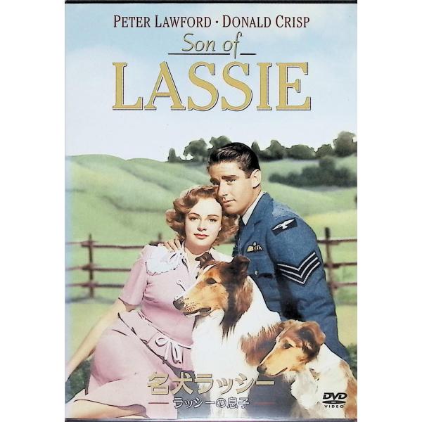 名犬ラッシー / ラッシーの息子 [DVD] エリザベス・テイラー   ロッド・ダイカー   ピーター・ローフォード    監督名   フレッド・M・ウィルコックス音声 /  英語 字幕 /  日本語・英語JAN : 49881355527...