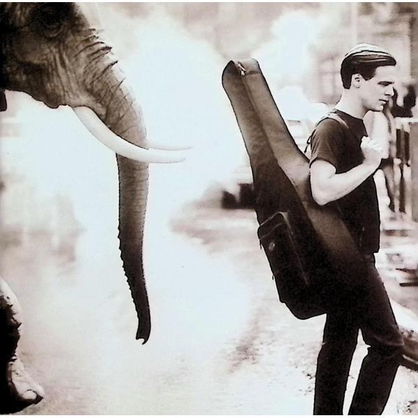 On a Day Like Today ブライアン・アダムス【JAN/品番】0731454101622/6 3 05410162Universal Int'lACD,洋楽