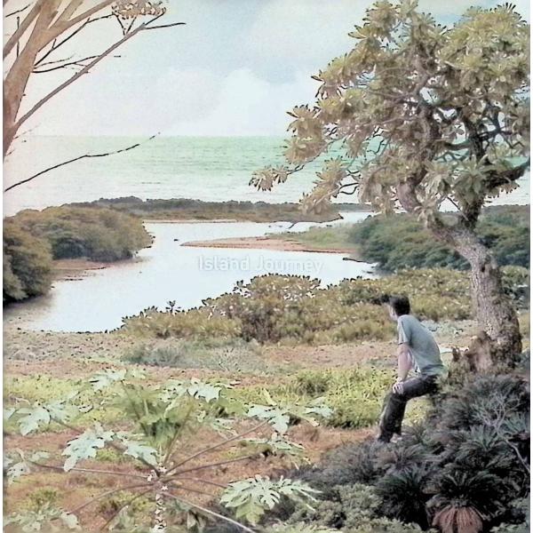 島めぐり~Island Journey~ 大島保克JAN/品番  4988002477494　ビクターエンタテインメントCD,邦楽