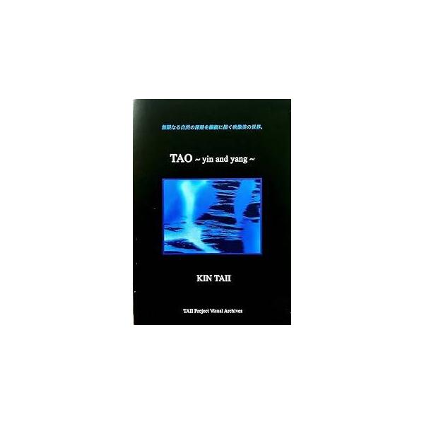 TAO ~yin and yang~ [DVD] KIN TAIIJAN : DVD/ブルーレイ,その他
