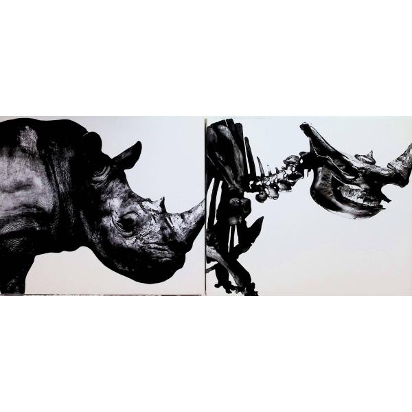 「1992-1995」 「1996-2000」 2点セット Mr.ChildrenJAN/品番  4988061881805　トイズファクトリーToysfactoryレコードCD,邦楽