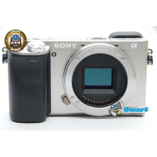 ◆━━━ 商品情報 ━━━◆【付属品】バッテリーNP-FW50、充電器（社外品）、ボディキャップ【状態】外観は上面部の品名ロゴ付近に薄い擦り傷があります。それ以外に目立つスレやキズは見受けられません。光学系（ファインダー・センサー周り）もク...