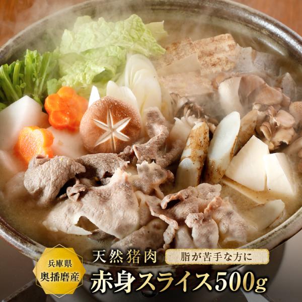 天然のイノシシは冬になると上質の脂を身にまとい最高のお肉になります