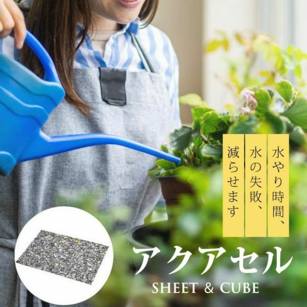 【お届け内容】●トレー付きSETアクアセルR（幅30cm×奥行22cm）が1枚、専用トレーが1枚の2点SETです●大きいサイズのアクアセルトレー付きSETのアクアセルより大きい、大判サイズのアクアセル（幅60cm×奥行50cm）を1枚お届け...