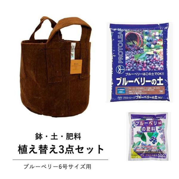 インテリア 植木鉢 受け皿 植え替え 方法 器 屋内 屋外 置台 おしゃれ 面白い 飾る 鉢 カバー 簡単 外用 プレゼント 種類 一覧 サイズ 丈夫 セット 育成 台 卓上 小さい 小さめ テーブル 手入れ 陶器鉢 名前一覧 肥料 日陰 ...