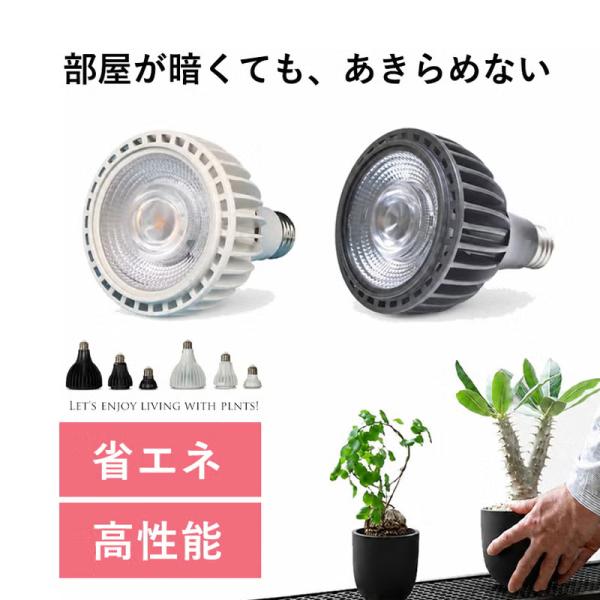 観葉植物 育成ライト ライト 初心者 インテリア 室内 プレゼント 丈夫 ガーデニング 園芸 用品【お届けtype】・７Wタイプ（植物との推奨距離20〜40cm）・12Wタイプ（植物との推奨距離40〜80cm）・24Wタイプ（植物との推奨距...