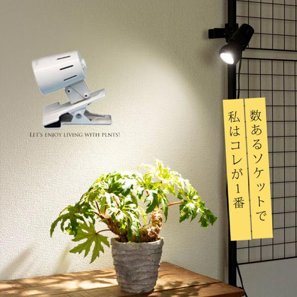 観葉植物 育成ライト ライト 初心者 インテリア 室内 プレゼント 丈夫 ガーデニング 園芸 用品【お届け内容】プラエリア：クリップ型ソケット※植物ライトは、商品には含まれません。お祝 開店祝 開業祝 開院祝 就任祝 周年祝 移転祝 新築祝...